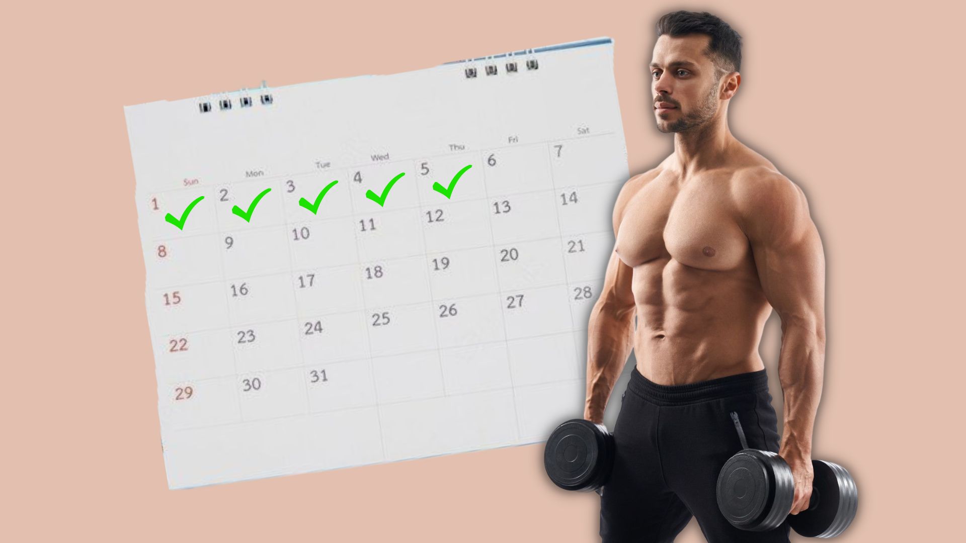 Devo treinar quantos dias por semana? (melhor frequência) - Tenho Saúde